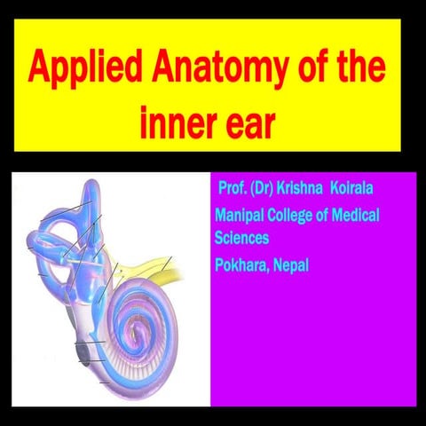 Inner Ear Anatomy Ppt