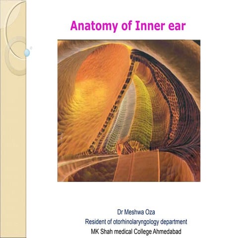 anatomy of inner ear.pptx