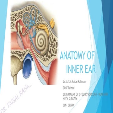 Anatomy of inner ear dr. faisal rahman | PPTX