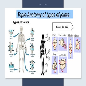 Anatomy of joints | PDF