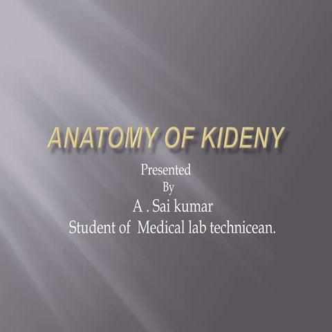 Anatomy of kideny | PPTX