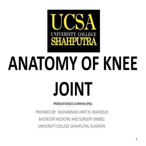 Anatomy of Knee Joint | PPT