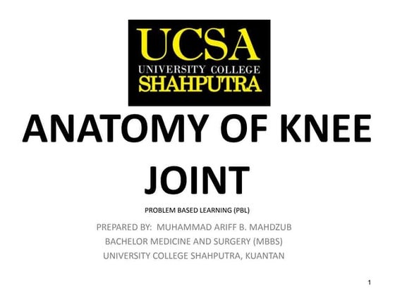 ANATOMY OF KNEE JOINT | PPT
