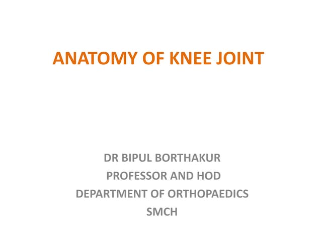 ligaments of the knee joint | PDF