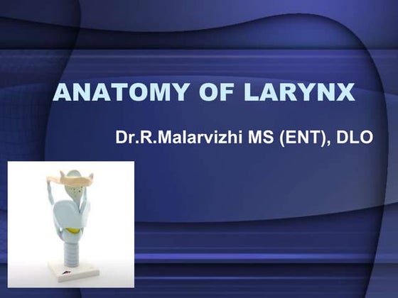 Anatomy of larynx details with diagrams, | PPT