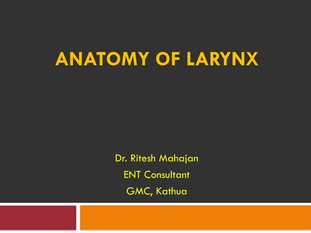 Anatomy of larynx and trachea final | PPT