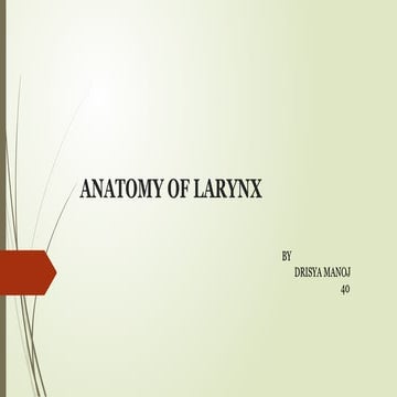 Anatomy of larynx, LARYNGEAL CARTILAGES, | PPTX