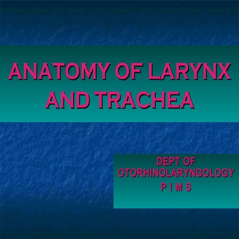 Hypopharynx anatomy | PPTX