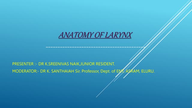 Anatomy of larynx and trachea final | PPT