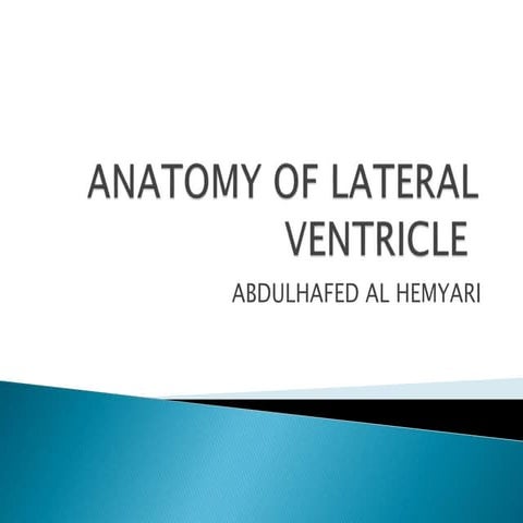 Anatomy of lateral ventricle | PPTX