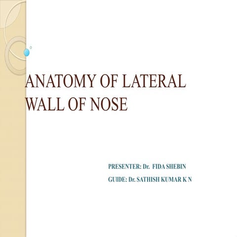 ANATOMY OF LATERAL WALL OF NOSE.pptx detailed | PPTX