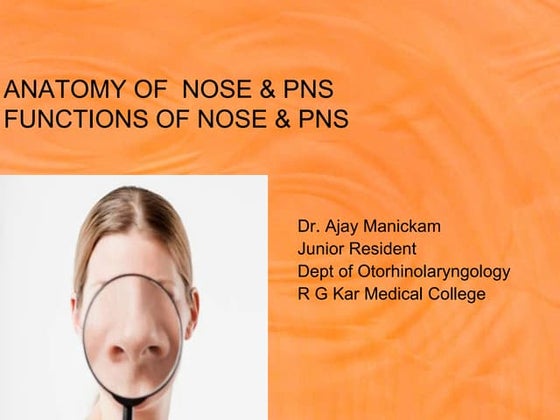 ANATOMY OF VOMER BONE | DOCX | Ear, Nose and Throat Conditions ...