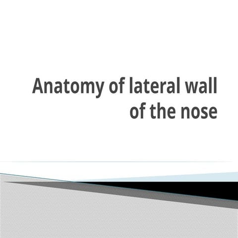 Anatomy Of Tonsil.......................... | PPT