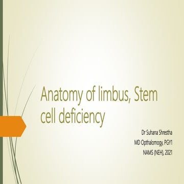 Anatomy of anterior chamber | PPTX