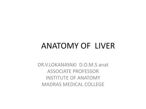 Gross anatomy and histology of liver | PPT