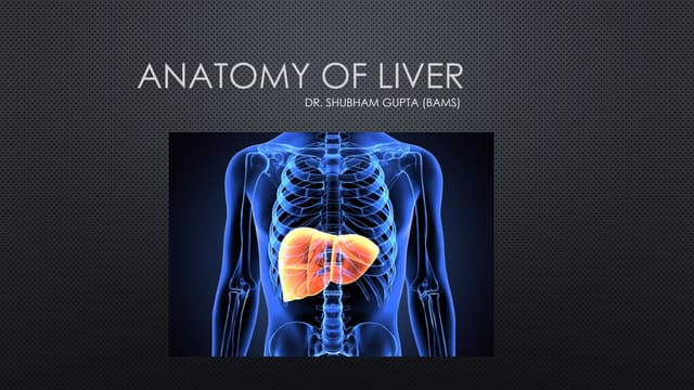 Gross anatomy and histology of liver | PPT