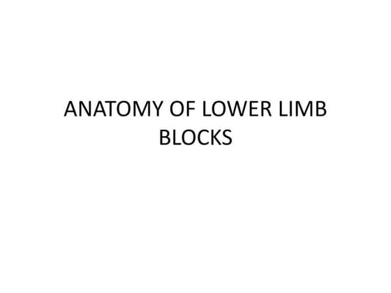Lumbosacral plexus anatomy for students. pptx | PPT