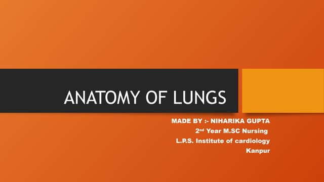 LUNG ANATOMY | PPTX