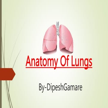Anatomy Of Lungs.pptx