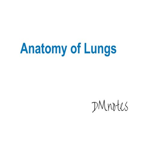 Anatomy of Lungs.pdf