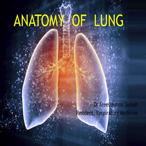 BRONCHO PULMONARY SEGMENTS of lung .pptx