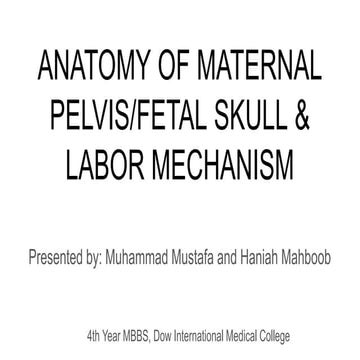 Mechanism of labour | PPT