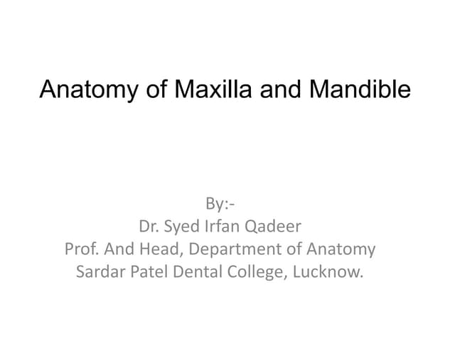 Anatomy of mandible | PPTX