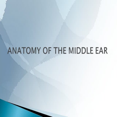 ANATOMY OF MIDDLE EAR CLEFT | PPT | Ear, Nose and Throat Conditions ...