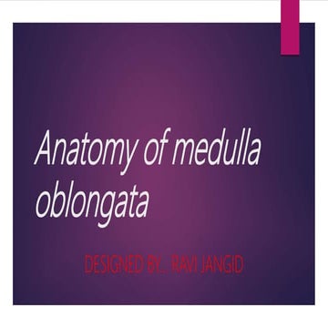 Anatomy of medulla oblangata | PPTX
