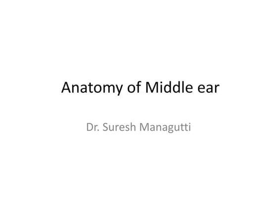 The Gross Anatomy of external and Middle ear Middle Ear | PPT