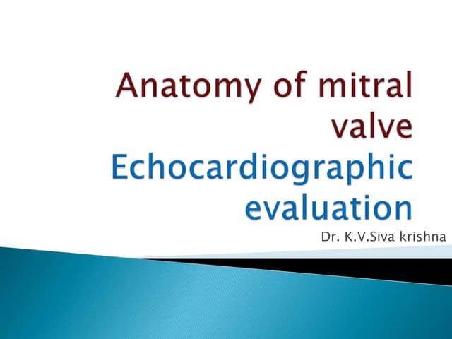 Mitral valve anatomy | PPTX