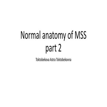 anatomy of MMS 2.pdf