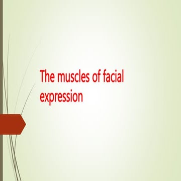 Muscles of face | PPTX