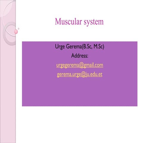 Anatomy of Muscular system.pdf