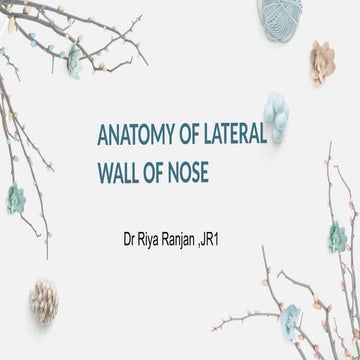 ANATOMY OF LATERAL NASAL WALL-WPS Office (1).pptx
