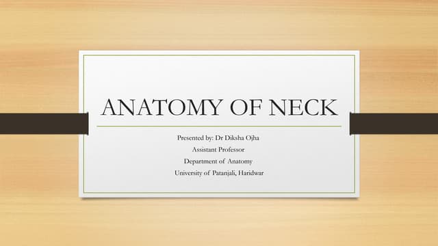 Anatomy Of NECK.pptx