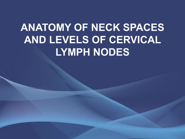 Ppt of anatomy of neck & ML imp | PPTX