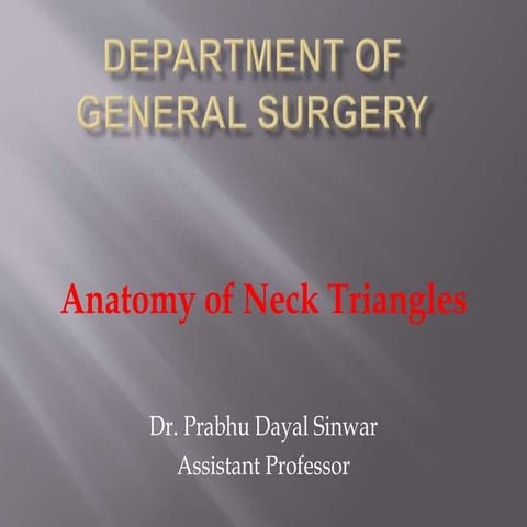 Anatomy of neck triangles | PPT