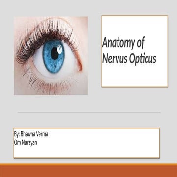 Nervus opticus anatomy, tomography , examination | PPTX