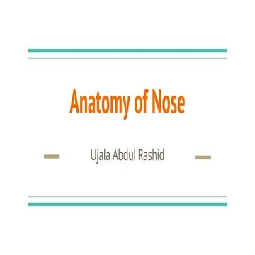 Anatomy of nose | PPTX