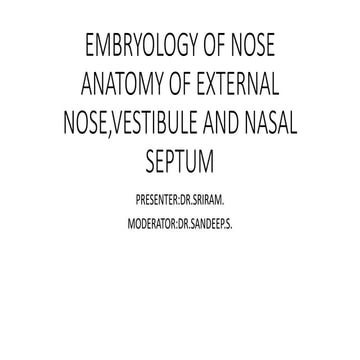 PRESENTATION ON ANATOMY OF NOSE FOR UNDERGRADUATES | PPTX