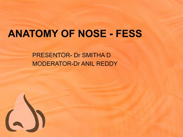 anatomy of maxilla oral and maxillofacial surgery topic OMFS | PPTX