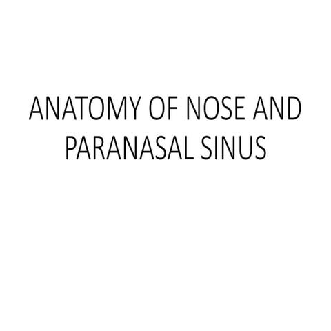 ANATOMY OF NOSE AND PARANASAL-WPS Office.pptx