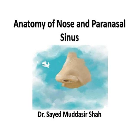 Nose and nasal cavity anatomy | PPTX