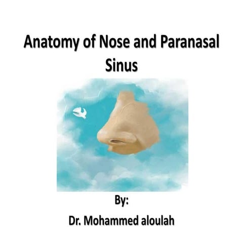 anatomy of nose2 anatomy of nose2 anatomy of nose2 | PDF | Ear, Nose ...
