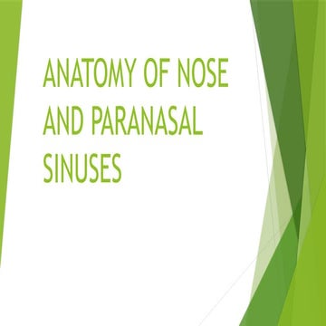 NASAL BONE VIEW.pptx
