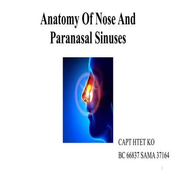 ANATOMY OF PARANASAL SINUSES.pptx mbbs ent | PPTX
