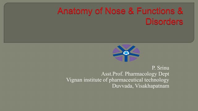 Sense of smell(nose.ppt grade 3) | PPT