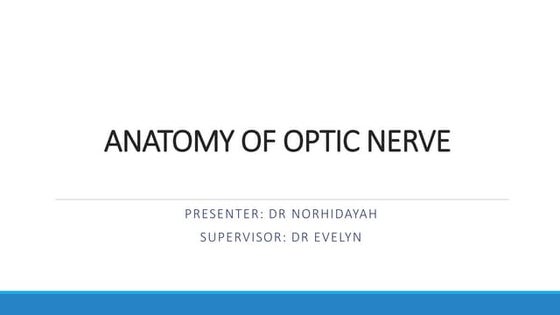 The embryology and anotomy of the optic nerve and its blood supply up ...