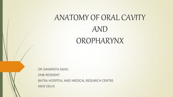 Hypopharynx anatomy | PPT